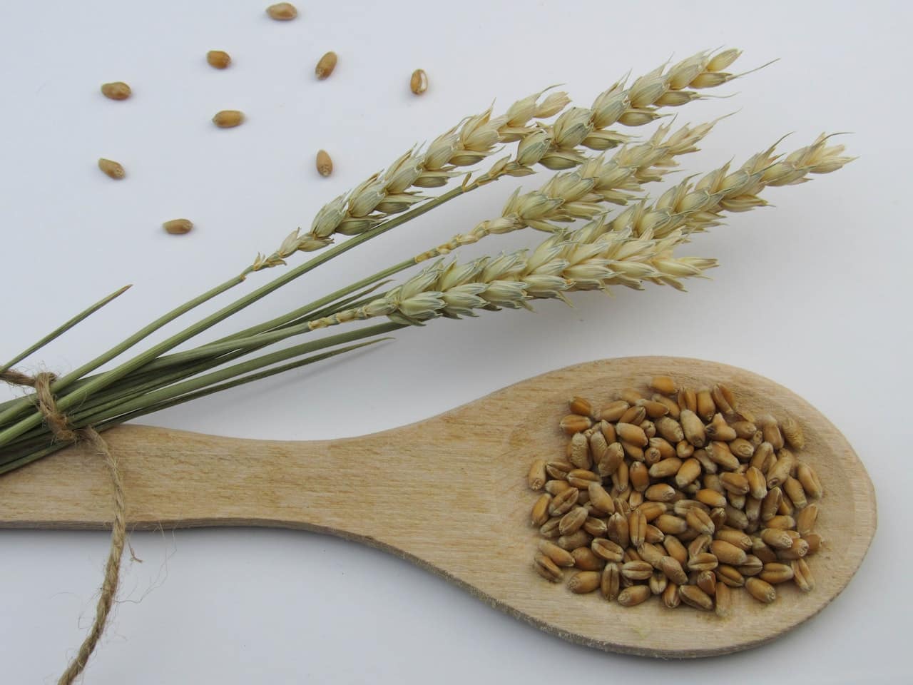 Everything You Need to Know About Bread Allergy | IntoleranceLab